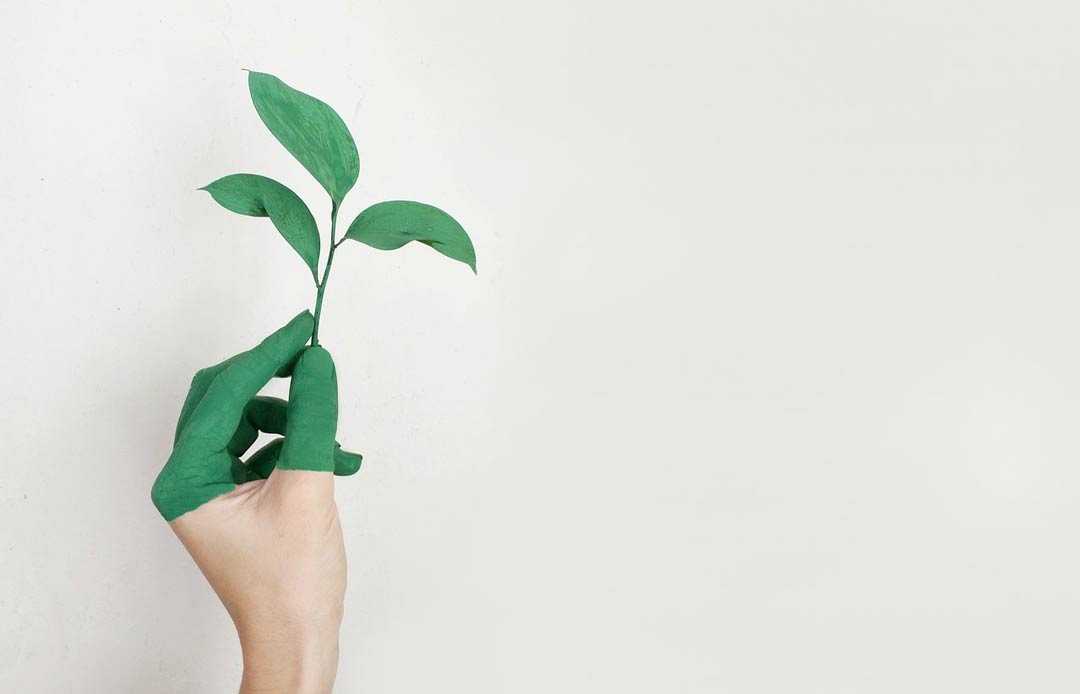 Marketing Verde: ¿Por qué debo integrarlo en mi empresa?